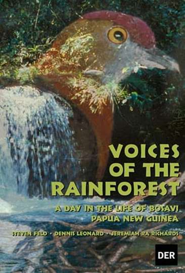 Voices of the Rainforest A Day in the Life of Bosavi - Movie | Moviefone