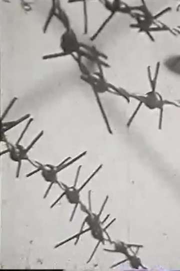 Dissonance - Movie | Moviefone