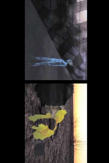 A Wilderness of Elsewheres. Colony 1. - Where to Watch | Moviefone