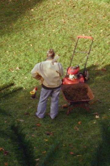 There is a Hole in the Ground - Where to Watch | Moviefone