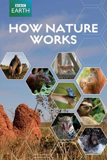 How Nature Works | Moviefone