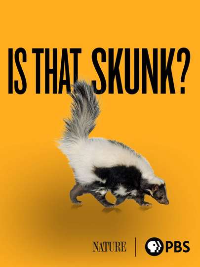 Is That Skunk Full Cast & Crew | Moviefone