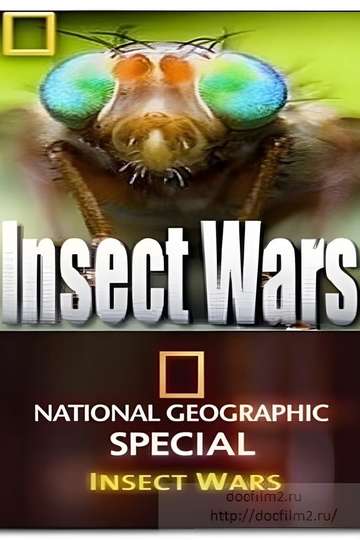 National Geographic Insect Wars - Movie | Moviefone