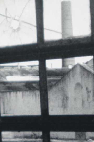 Liebig (2017) - Where to Watch | Moviefone