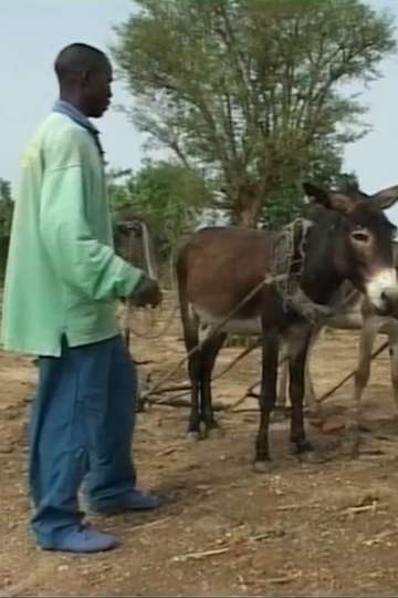 Zavra A Passer in Kapsiki Land - Movie | Moviefone